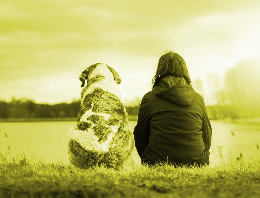 Why do we need anti role models? - Excellence Thinking